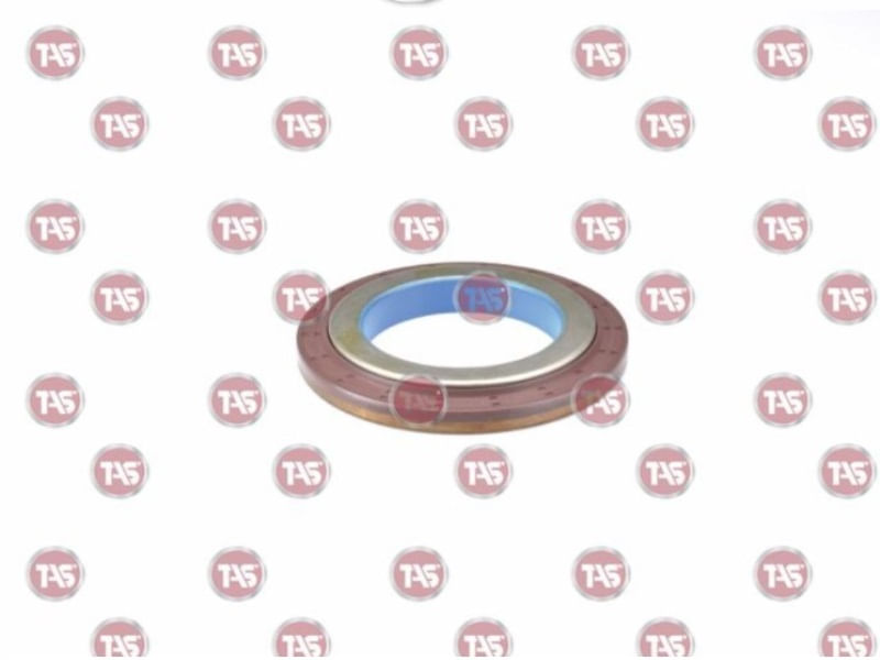 RETENTOR DIFERENCIAL DIANTEIRO 6X4 FH FM - Volparts